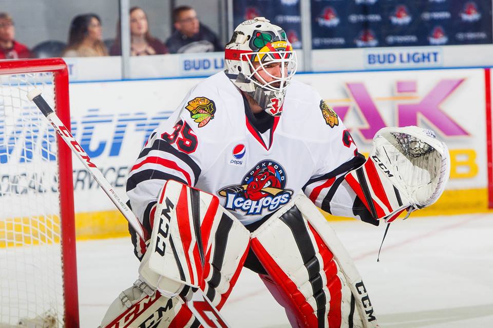 Recap: IceHogs Drop Two Of Three Games, Keep Pace In Division