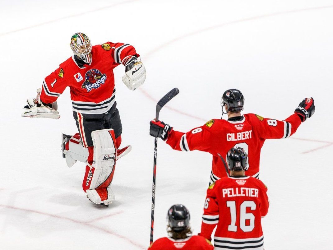 Previewing the Rockford IceHogs' 2019–20 season - The Rink