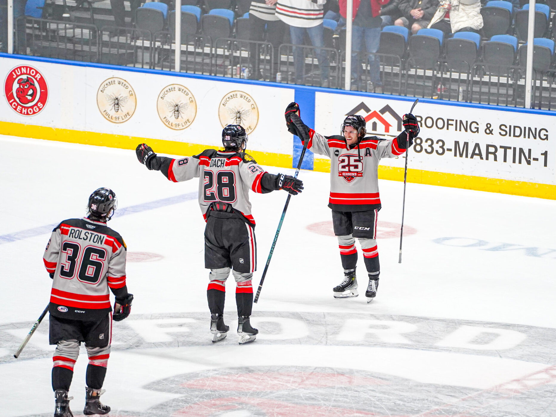 IceHogs take five points over three games for second straight week ...