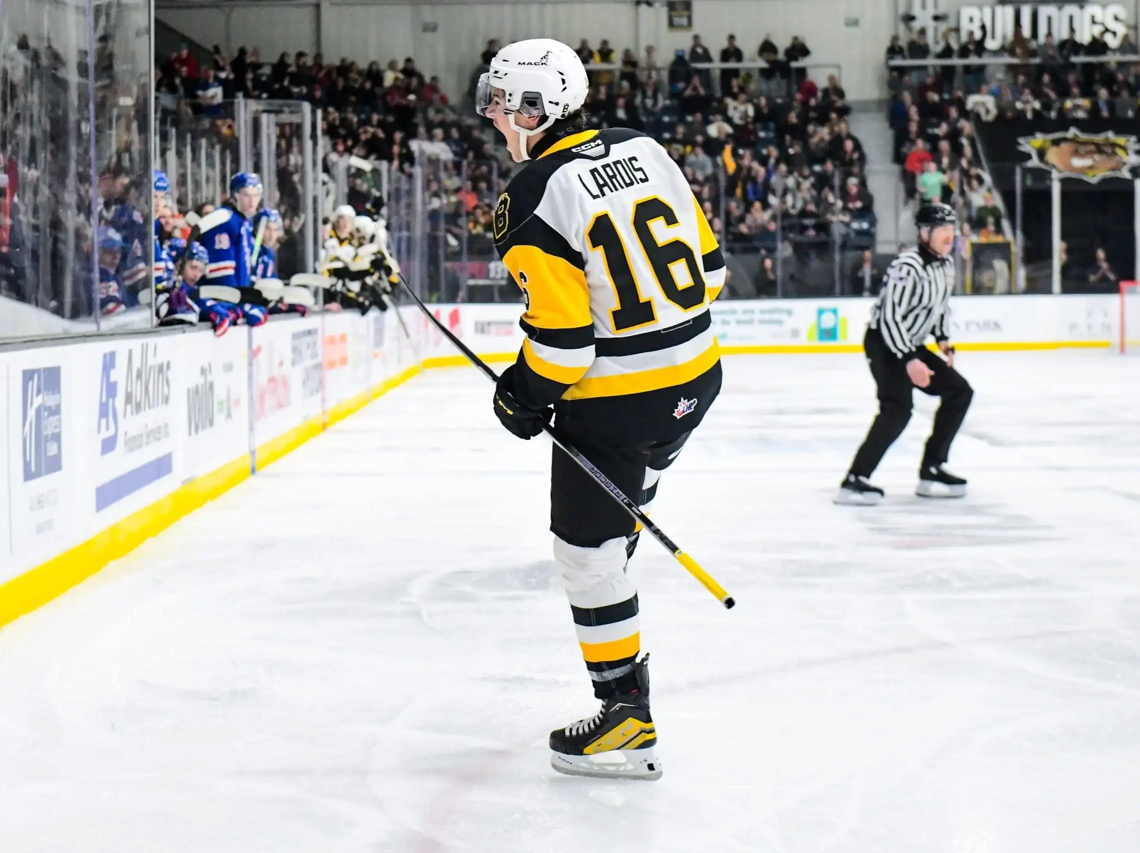 ANALYSIS: Tap the brakes on Nick Lardis - The Rink