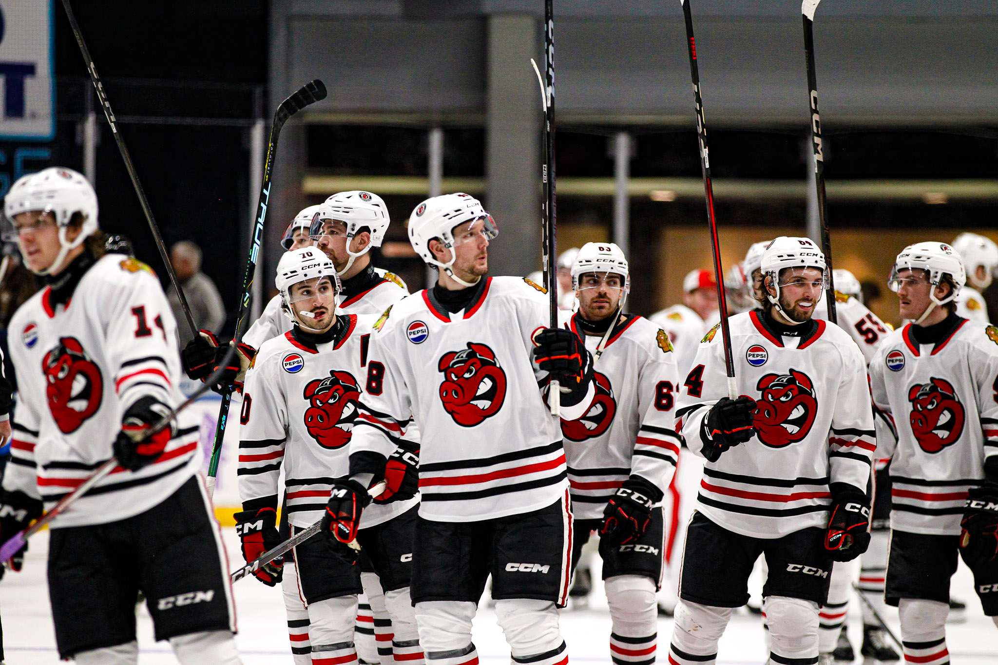 Rockin’ with Rockford: Hogs finding form - The Rink