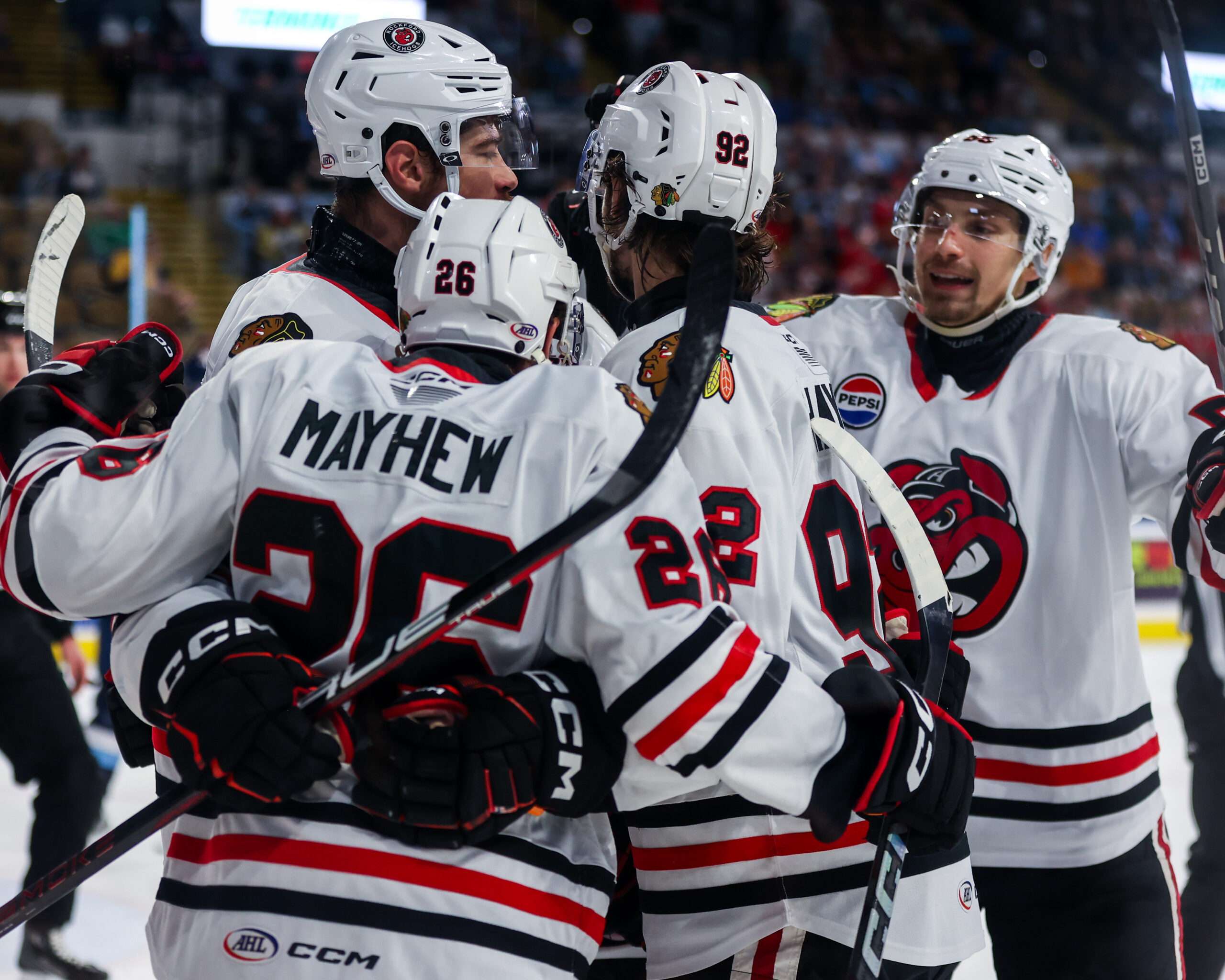 Rockin' with Rockford: Hogs sunk by the Admirals - The Rink
